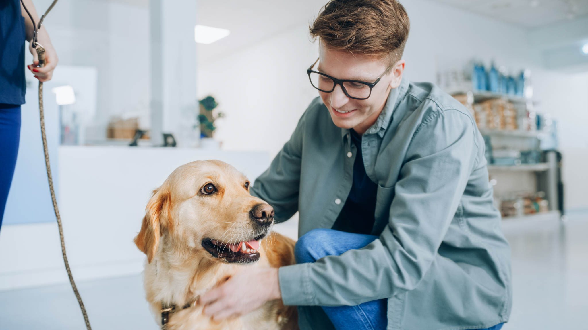 Veterinarians Rocky Point | Rocky Point Animal Hospital